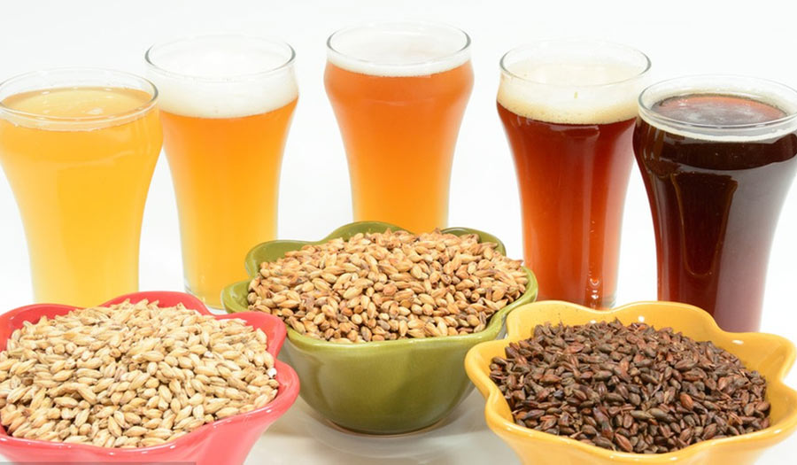 Quels sont les différents types de malt utilisés dans le brassage